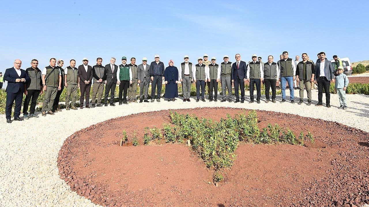 Milli Ağaçlandırma Günü’nde Binlerce Fidan Toprakla Buluşturuldu ... Milli Ağaçlandırma Günü’nde Binlerce Fidan Toprakla Buluşturuldu ...